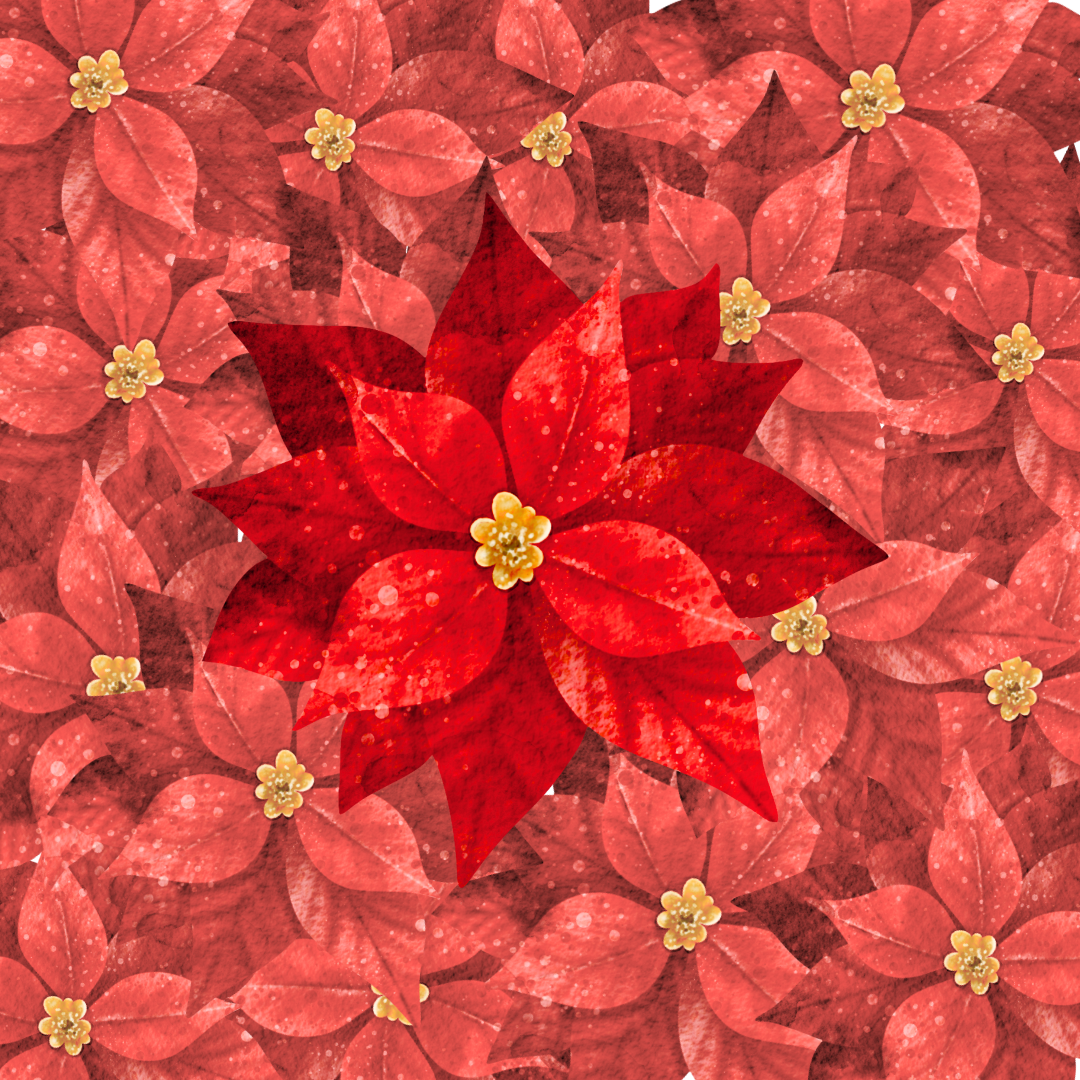 The Legends of Christmas - The Legend of the Poinsettia – Making ...